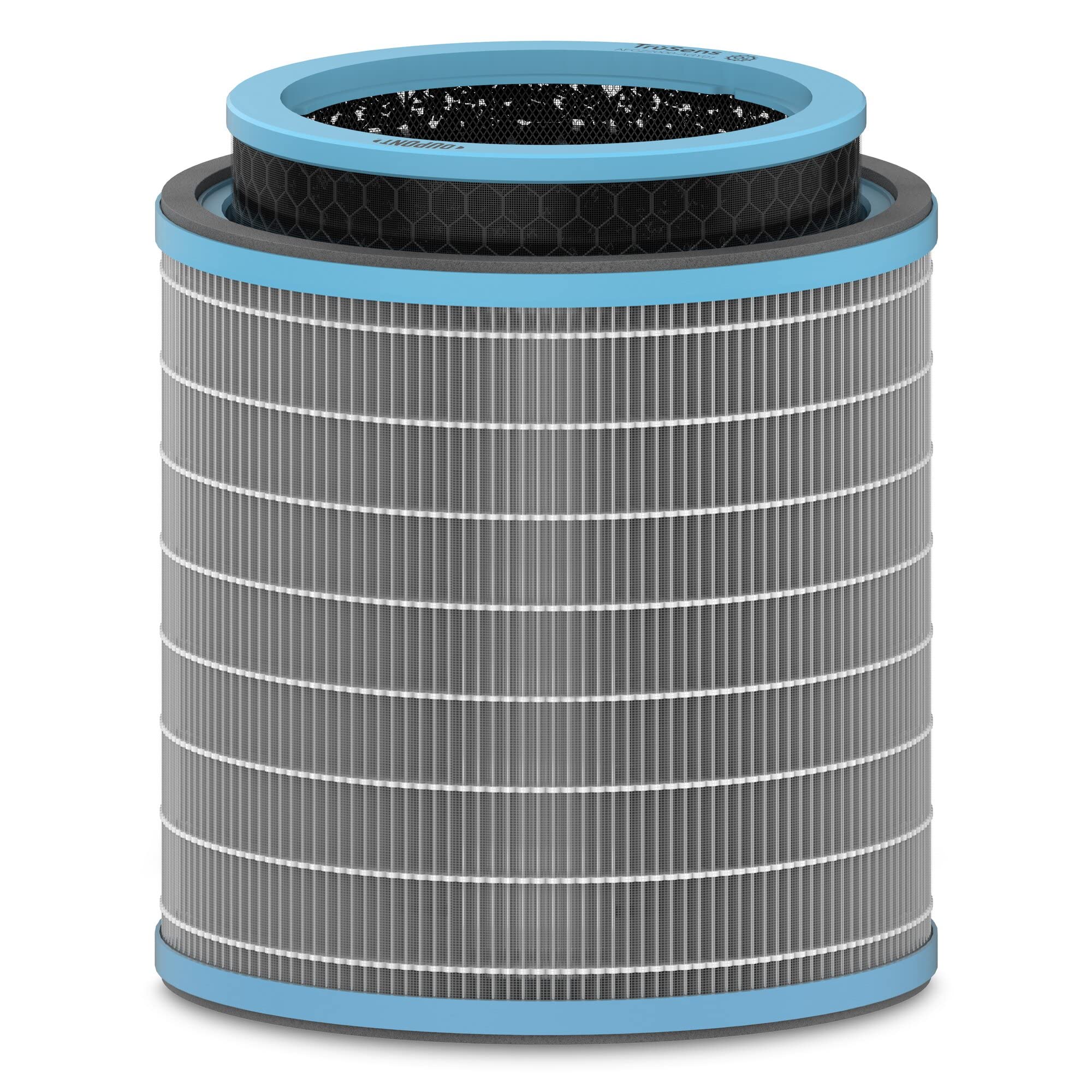 TruSens DuPont Allergy & Flu Filter with True HEPA for Z-3000 TruSens Air Purifier (Large)