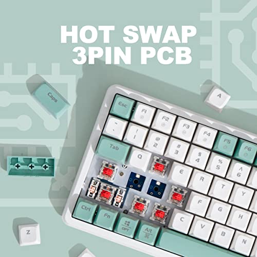 SUEHIODHY GK85 75% Hot Swap Mechanical Gaming Keyboard with MDA PBT Keycaps RGB Backlight Programmable Software for Mac/Win(Red Switch)