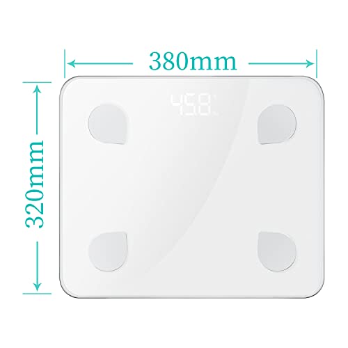 Smart Personnel Scale