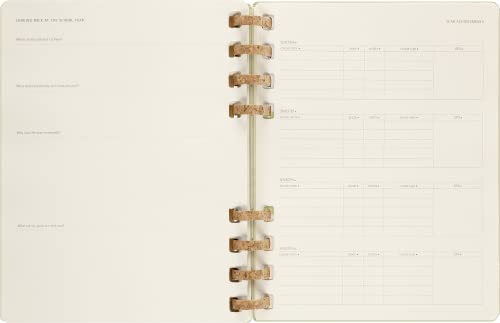 Moleskine 2024 Spiral Academic Planner, 12M, Extra Large, Crush Kiwi, Hard Cover (7.5 x 10)