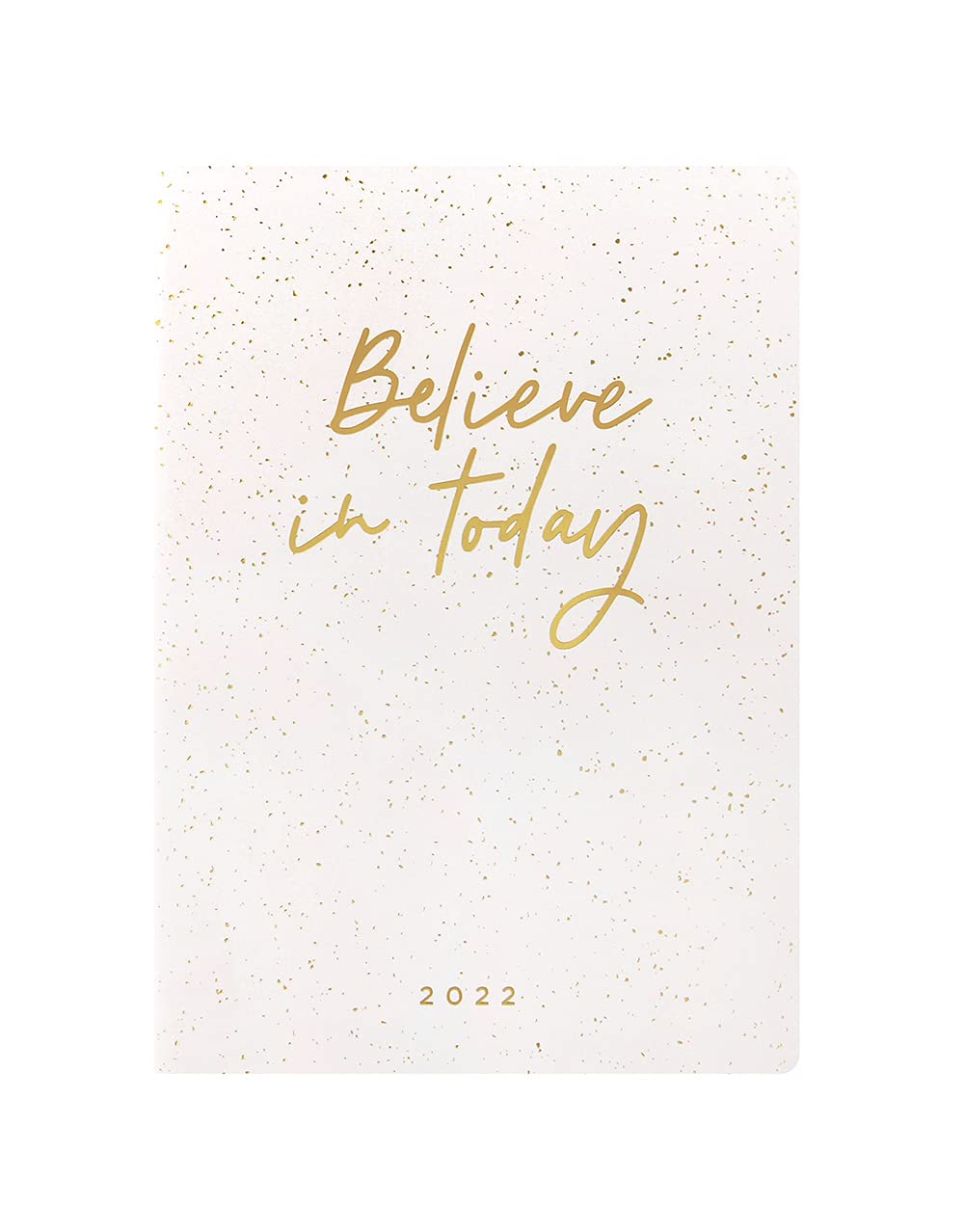 Letts Inspire A5 week to view 2022 diary - white