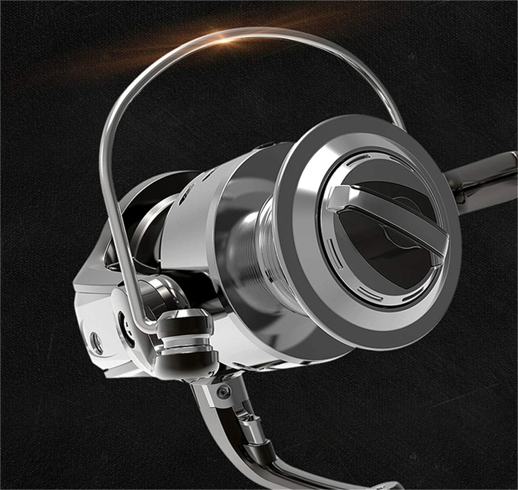LLJPYX7L Fishing Reel, Premium Frame Super Smooth 13 + 1BB Bearing, Support Long Distance Throwing, 4.9:1/5.2:1 Gear Ratio, (Size : 5000)