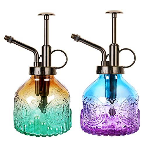 Water Can Spray Bottles Plant Mister Glass Vintage Plant Sprayer Mister Cute Mini Decorative Watering Devices for Outdoor Plant Greenhouse Bonsai Orchid Succulent Watering Micro Seedlings(2PCS)