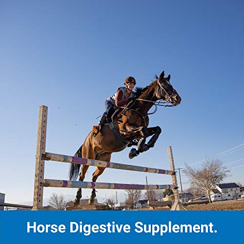 MagnaGard - Gastric Support Supplement for Horses | Relieves Ulcers, Calming Supplement, Magnesium & Other Vital Minerals | Powder, 4 Pound Bag, 30-Day Supply | by Eagle Equine