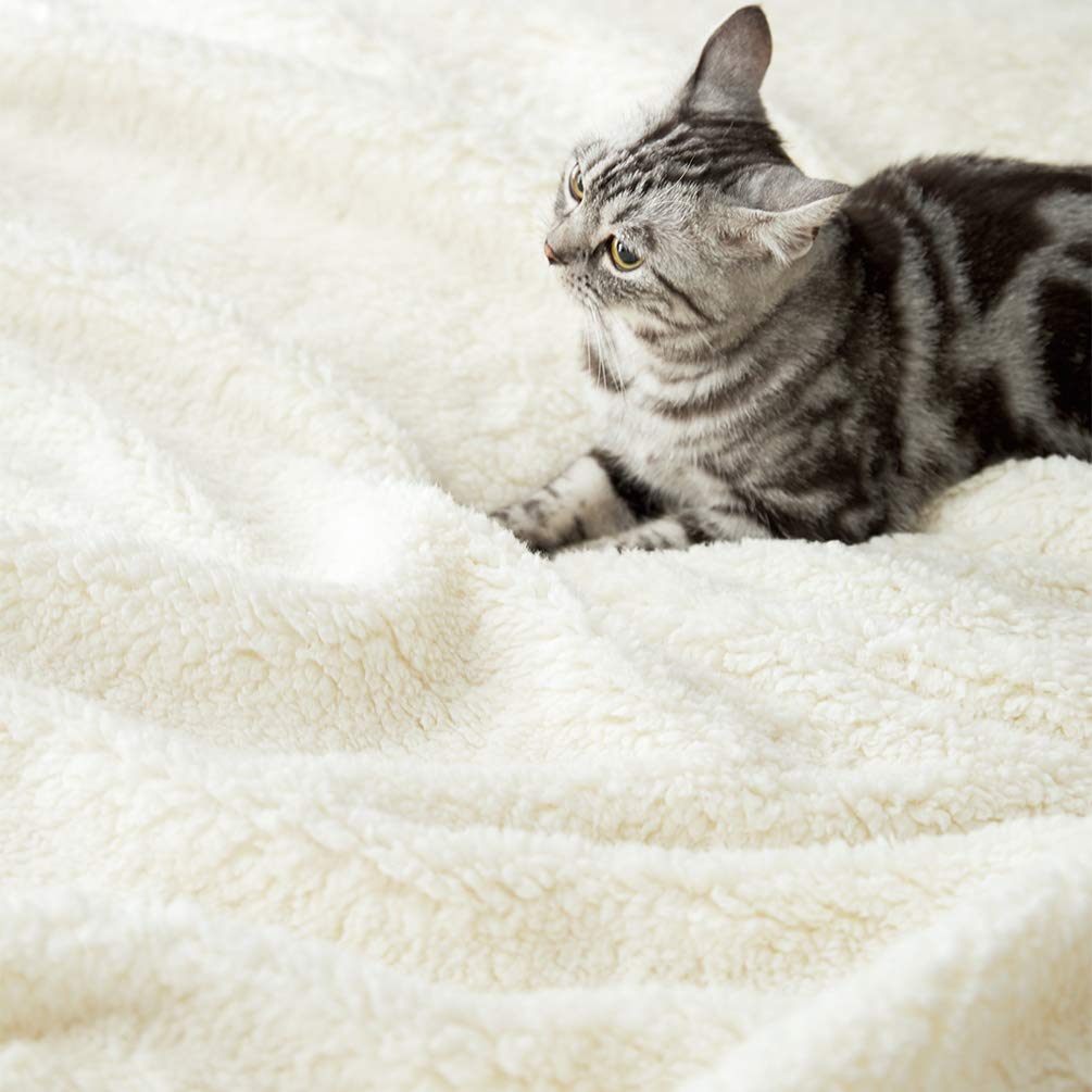 LBRO2M Sherpa Fleece Bed Blanket Queen Size Super Soft Fuzzy Plush Warm Cozy Fluffy Microfiber Couch Throw Velvet Double Reversible Luxurious Blankets,Grey(90x90)