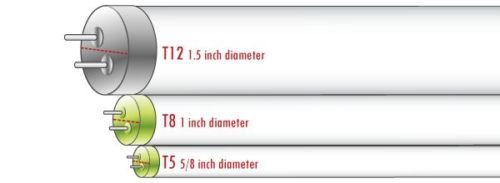 LightWise LWL4W40-F8T5 12" Direct Replacement Led Tube, 4-Watt, White, 4000K, Set of 3
