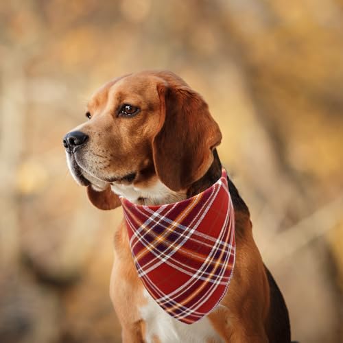 YUANKEXIANG Fall Bandana for Dogs 2 Pack - Christmas Pet Triangle Scarf Classic Plaid Reversible Bibs Kerchief Saliva Towel Set Pet Costume Accessories for Small Medium Large Dogs Cats