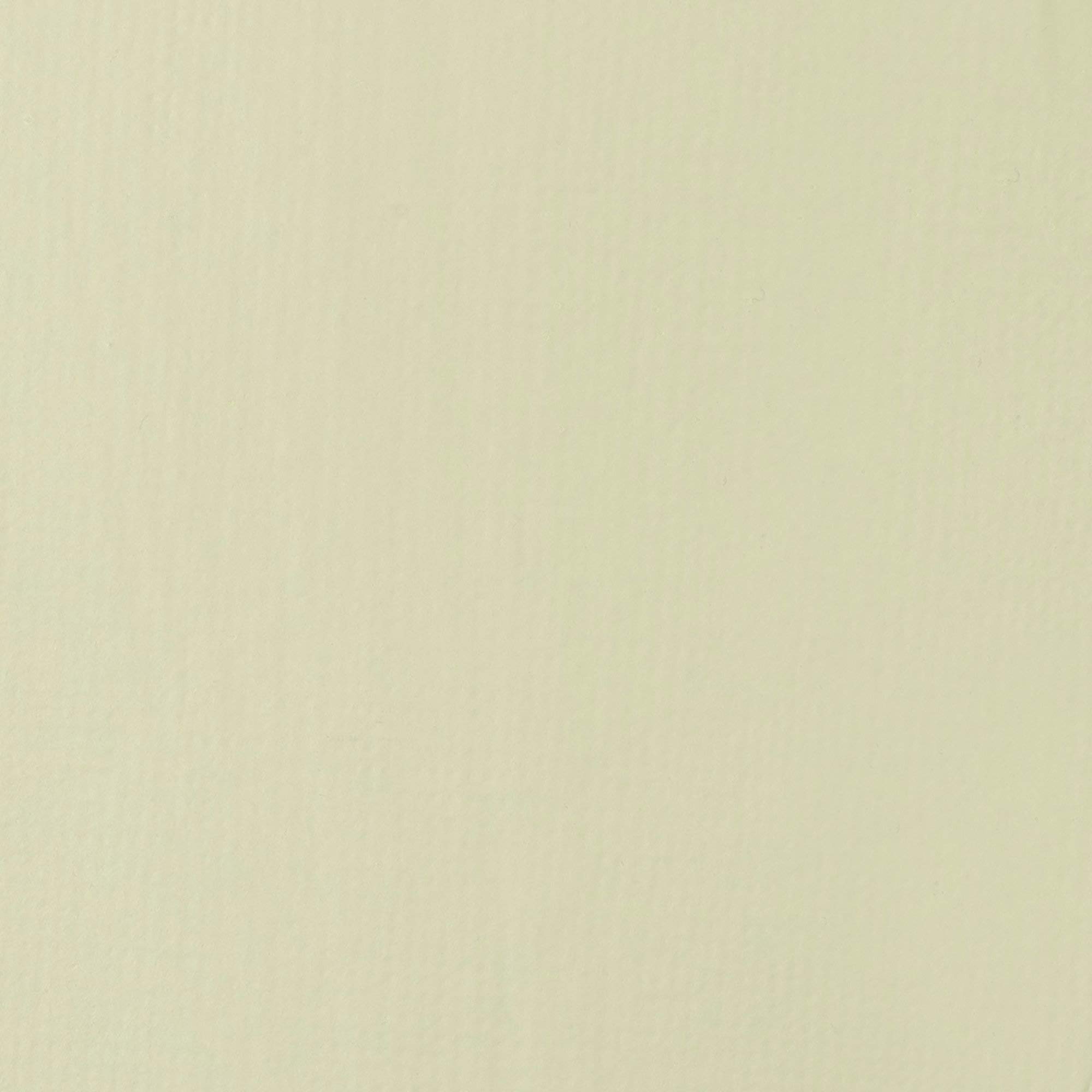 Liquitex BASICS Acrylic Paint, 118ml (4-oz) Tube, Parchment