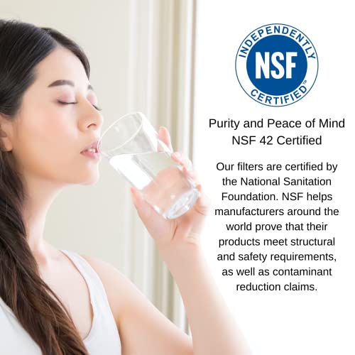 PureT CBCM-2510-0.5, 10x2.5" Chloramine Reduction Water Filter - NSF Certified - Carbon Block Chloramine Reduction Filter (.5 u Micron Rated)