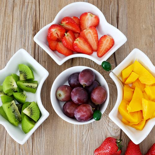 YOUEON Appetizer Serving Tray, Ceramic Divided Serving Tray, Divided Serving Platters for Relish Dishes, Removable Serving Dishes for Chips and Dip, Condiment, Veggies, Candy and Snacks