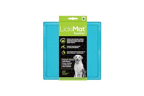 LickiMat 8"X8" 1 Piece Classic Soother Slow Feeder for Dogs Lick Mat Boredom Anxiety Reducer Perfect for Food Treats Yogurt Peanut Butter Fun Alternative to a Slow Feed Dog Bowl (Turquoise)