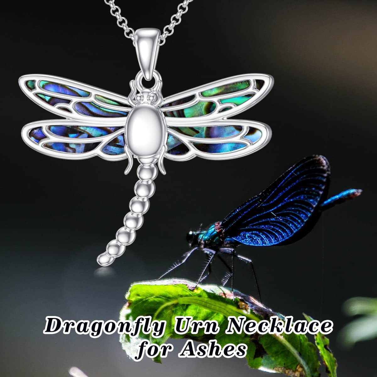 PELOVNY Cremation Jewelry for Ashes 925 Sterling Silver Dragonfly Necklace for Ashes Urn Memorial Keepsake Jewelry Gift for Women Her