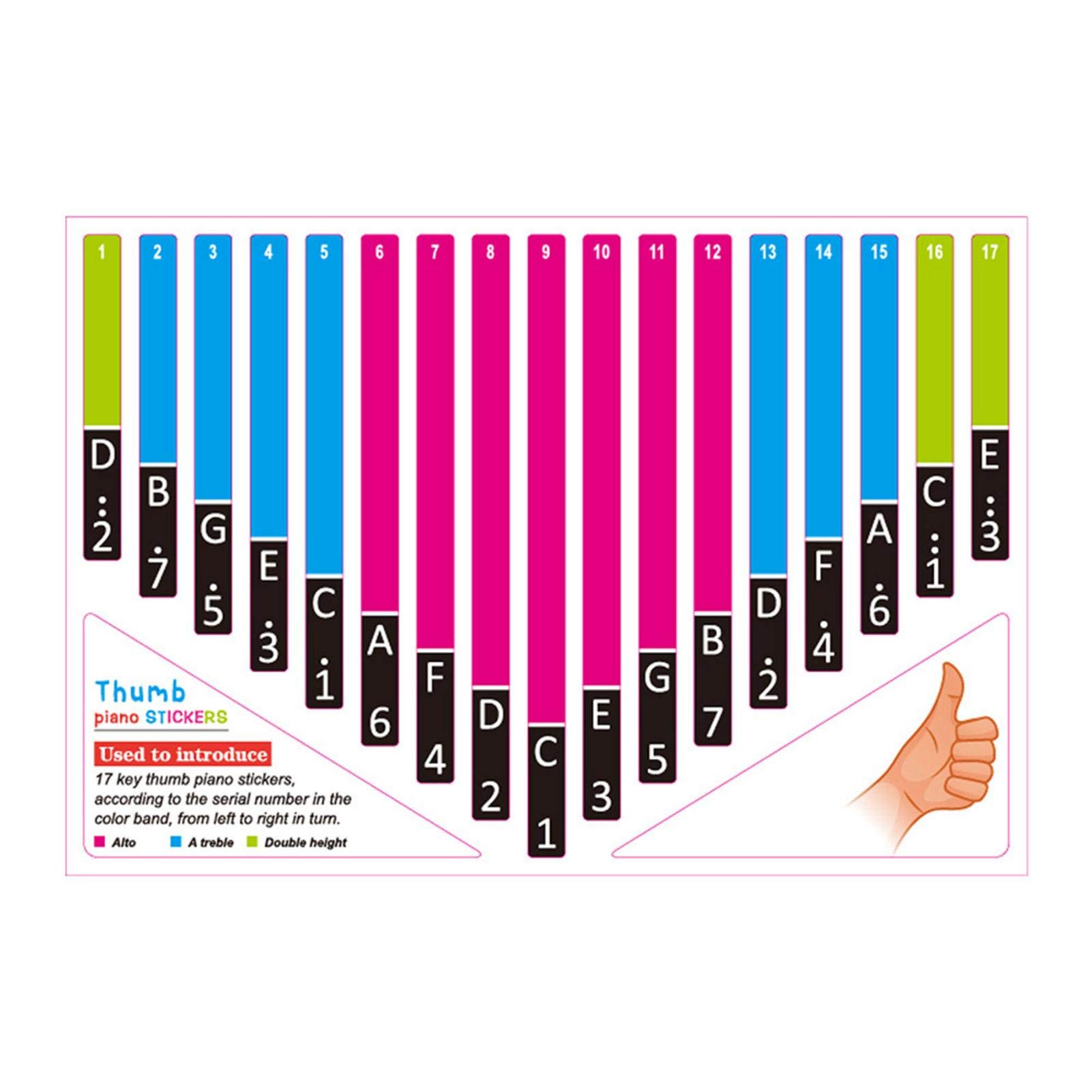 narratorbook 17-Key Thumb Piano Sticker Kids Beginner Note Stickers Thumb Piano Key Sticker for Kalimba Thumb Piano Repair Parts Musical Instruments