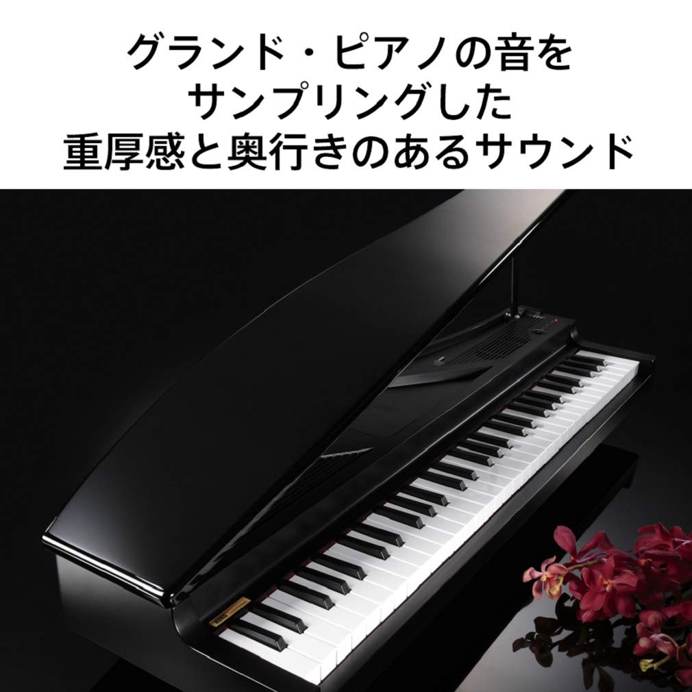 Korg microPiano 61 - Key Minature Grand Piano, Black