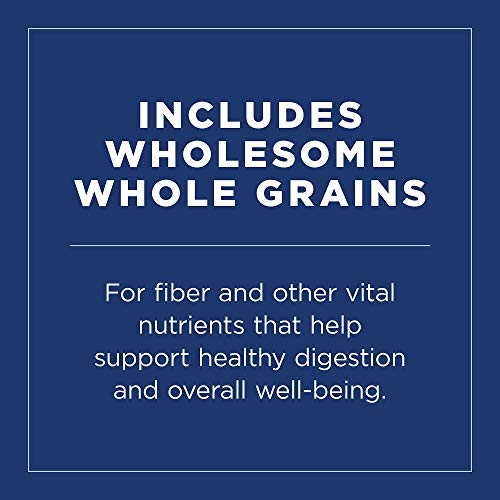 Natural Balance L.I.D. Limited Ingredient Diets Dry Dog Food, Lamb & Brown Rice Formula, 26 Pounds
