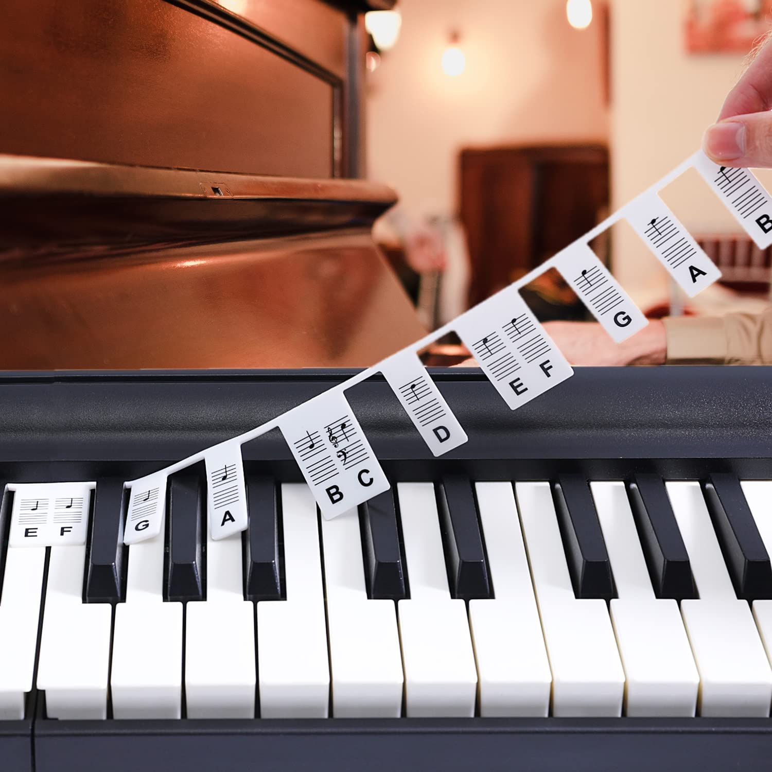 Piano Key Notes Guide for Beginners, [No Need Stick] Removable Silicone Piano Keyboard Note Labels Overlay for Learning, Reusable Piano Key Stickers for Full Size 88 Key Pianos(Classic Black)