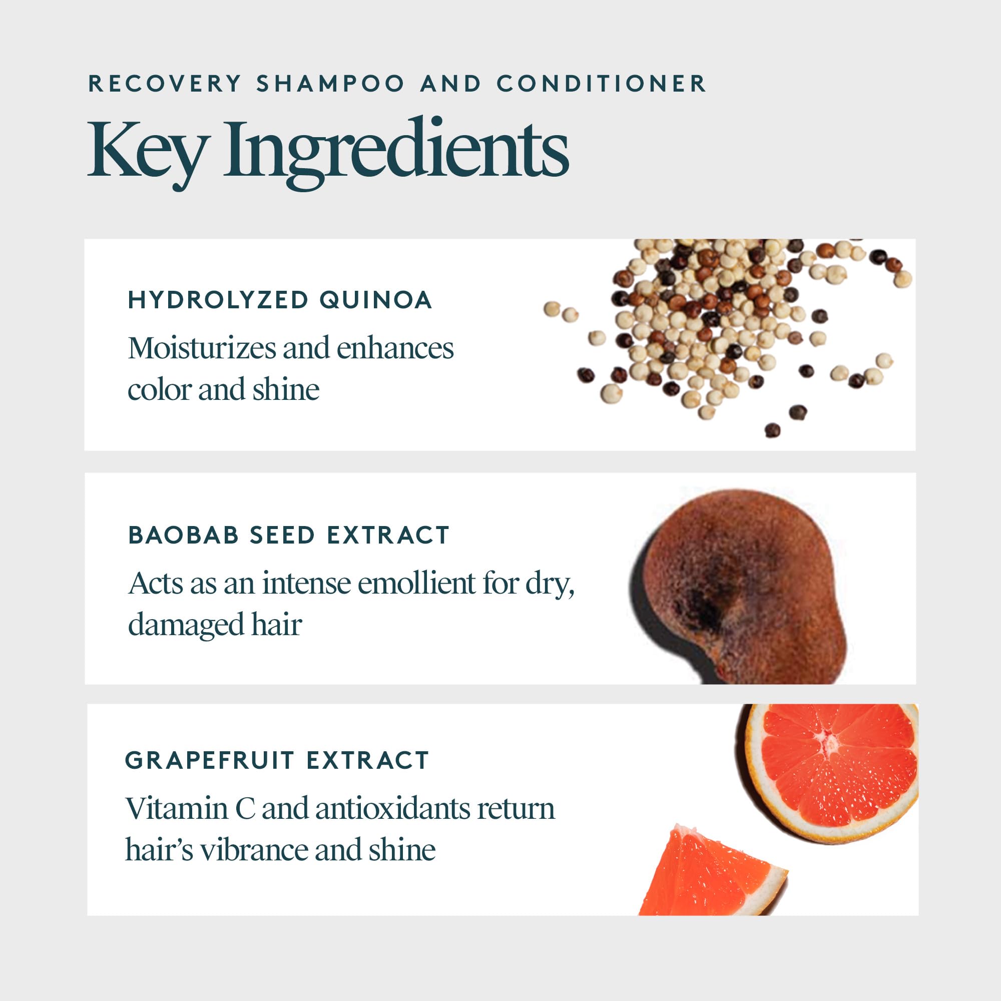 Virtue Recovery Sulfate Free Shampoo and Conditioner Set with Keratin Hydrates, Softens, and Renews Damaged Hair, Color Safe
