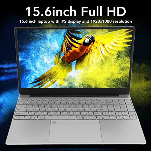 Naroote Laptop, 2K Resolution IPS Screen 12GB 256GB 4 Cores 4 Threads 100-240V 15.6in Laptop with Touchpad for Windows 10 for Study (12+256G US Plug)