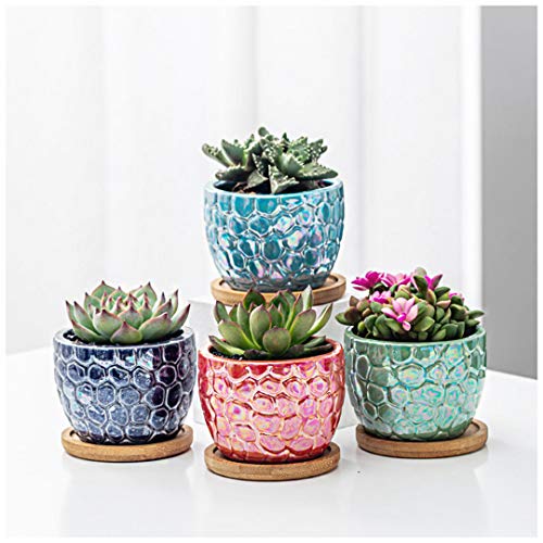 Segreto Succulent Plant Pots Marbling Pattern Flower Pots Ceramic Planter for Cactus Plants Container Bonsai Pots with Bamboo Tray and Drainage Hole for Home Decor,Set of 2
