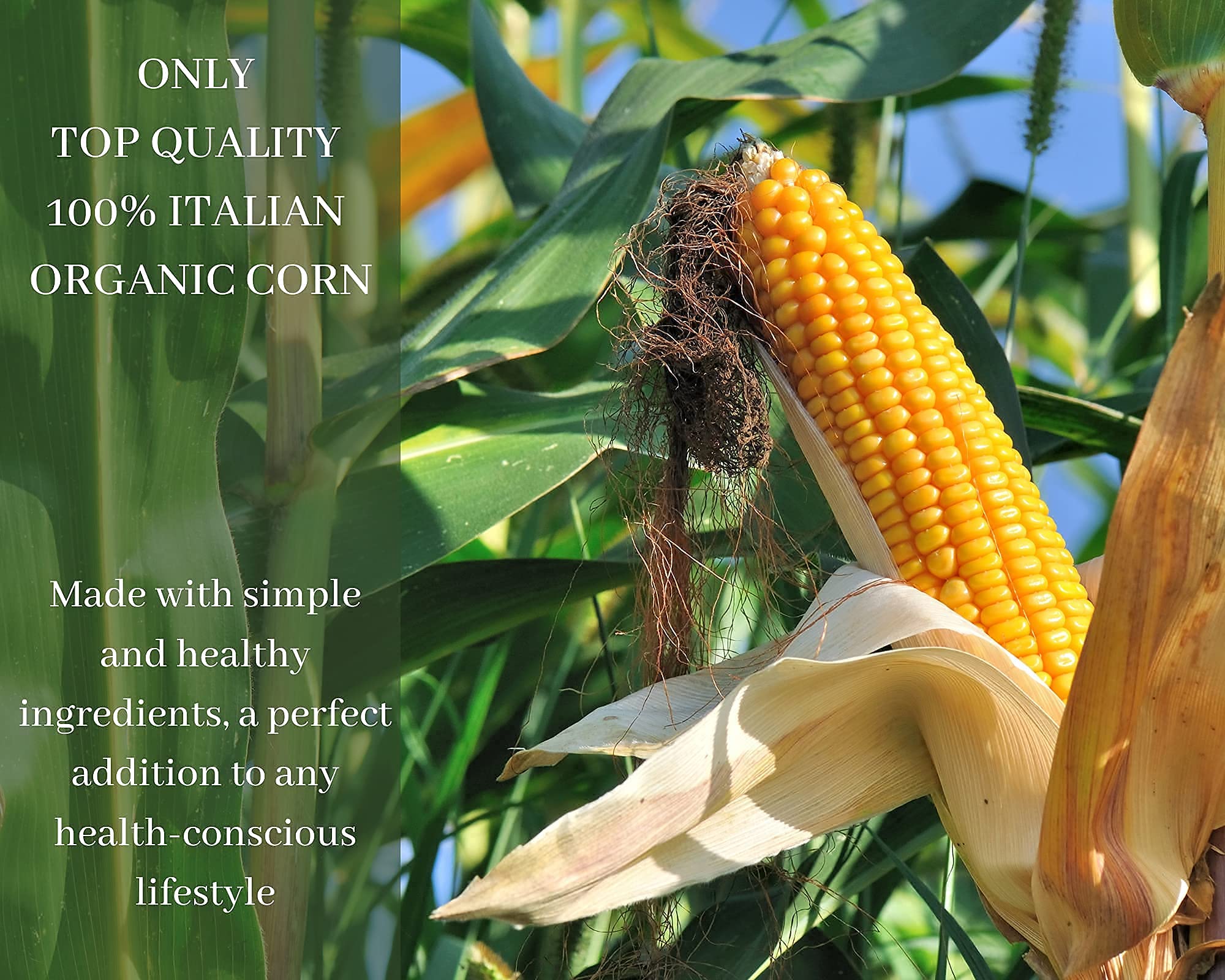 Le Asolane Certified Organic Gluten Free Pasta | Spaghetti | 4 Pack | Authentic Imported Italian Gourmet Pasta from Select Premium Grade Corn Flour | 8.8 oz packages