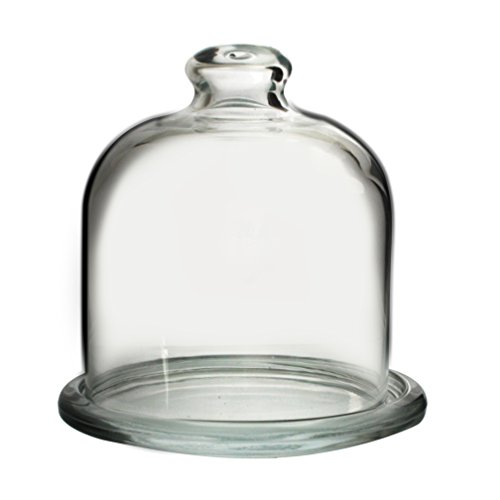 Pasabahce Basic Food Preservation Bell Jar with Plate Glass