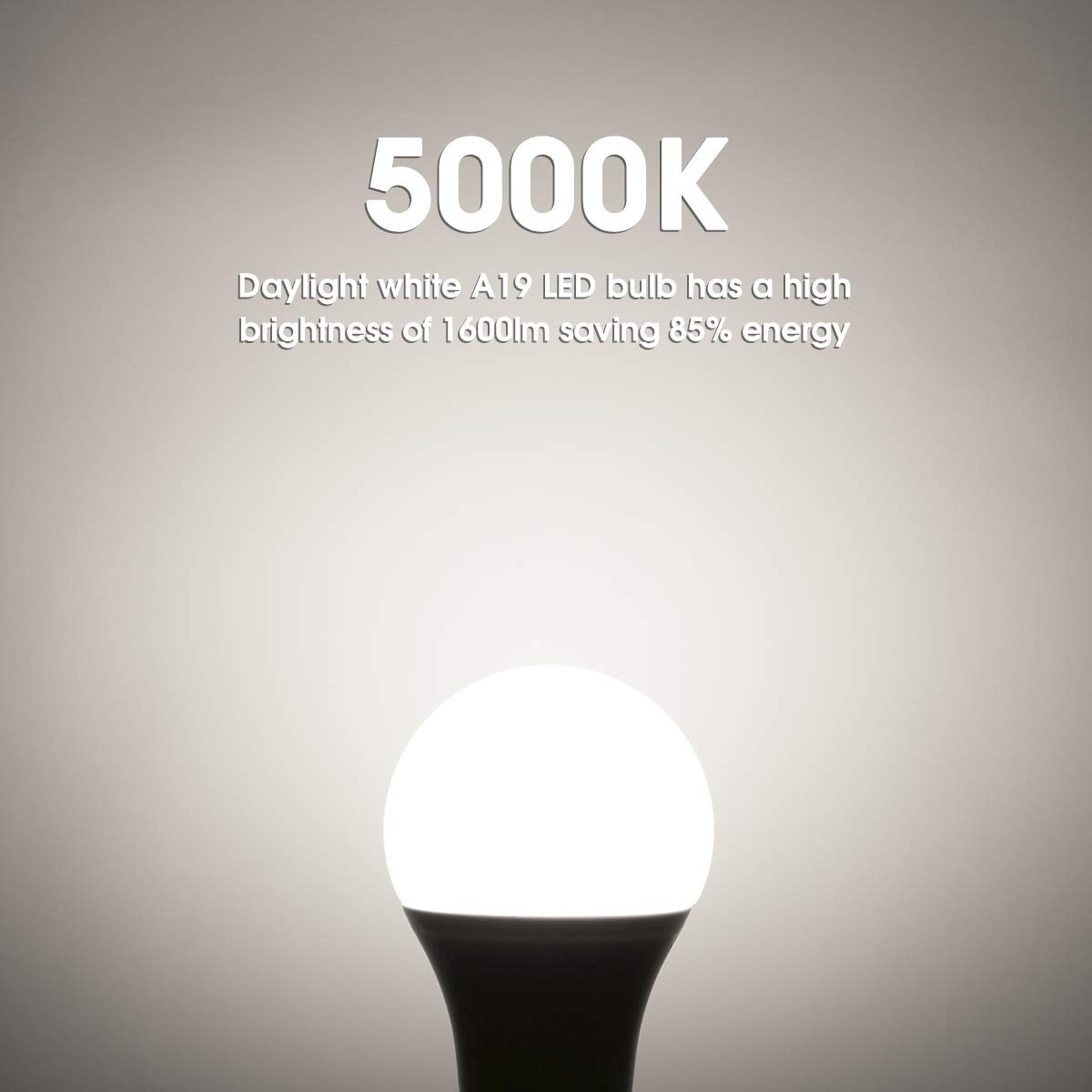 LOHAS LED Light Bulbs 150W Equivalent, Daylight White 5000K Dimmable A19 Bulb 17 Watt, 1600 Lumen Energy-Efficient Light Bulb, E26 Medium Base for Living Room, Kitchen, Bedroom (6 Packs)