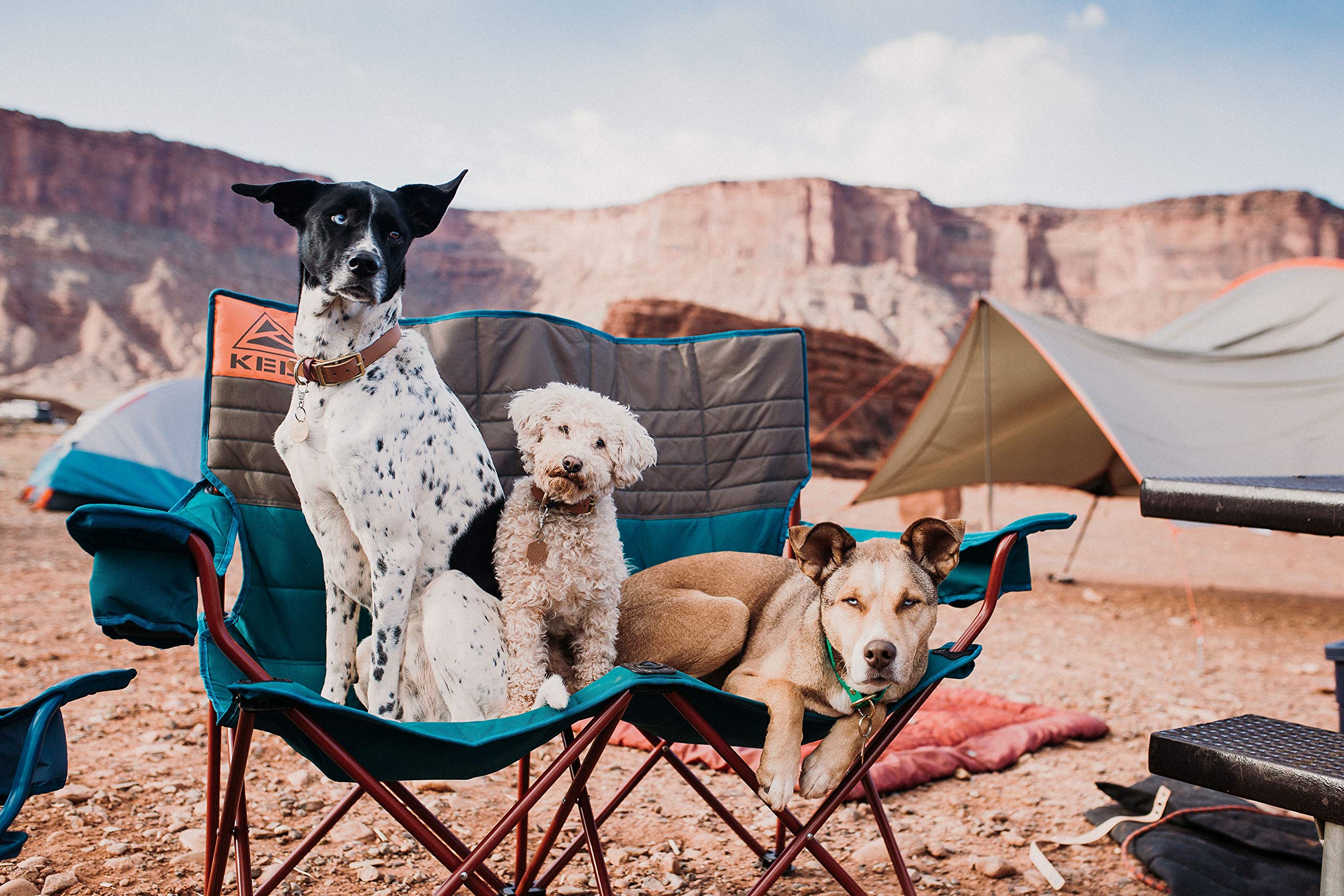 Kelty Mesh Low Loveseat 2 Person Camping Chair, Portable Folding Double Chair for Festivals, Camping and Beach Days, Breathable Fabric, Tapestry/Canyon Brown