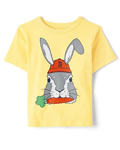 The Children's Place Baby Boys' and Toddler Equality for All Short Sleeve Graphic T-Shirts, Easter Bunny, 3T