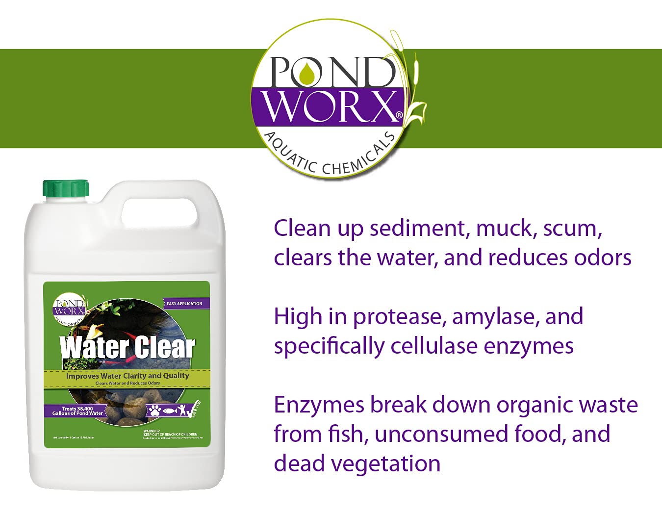 PondWorx Pond Bacteria and Water Clear- Formulated for Large Ponds, Water Features and Safe for Koi, Improves Water Quality- Gallon