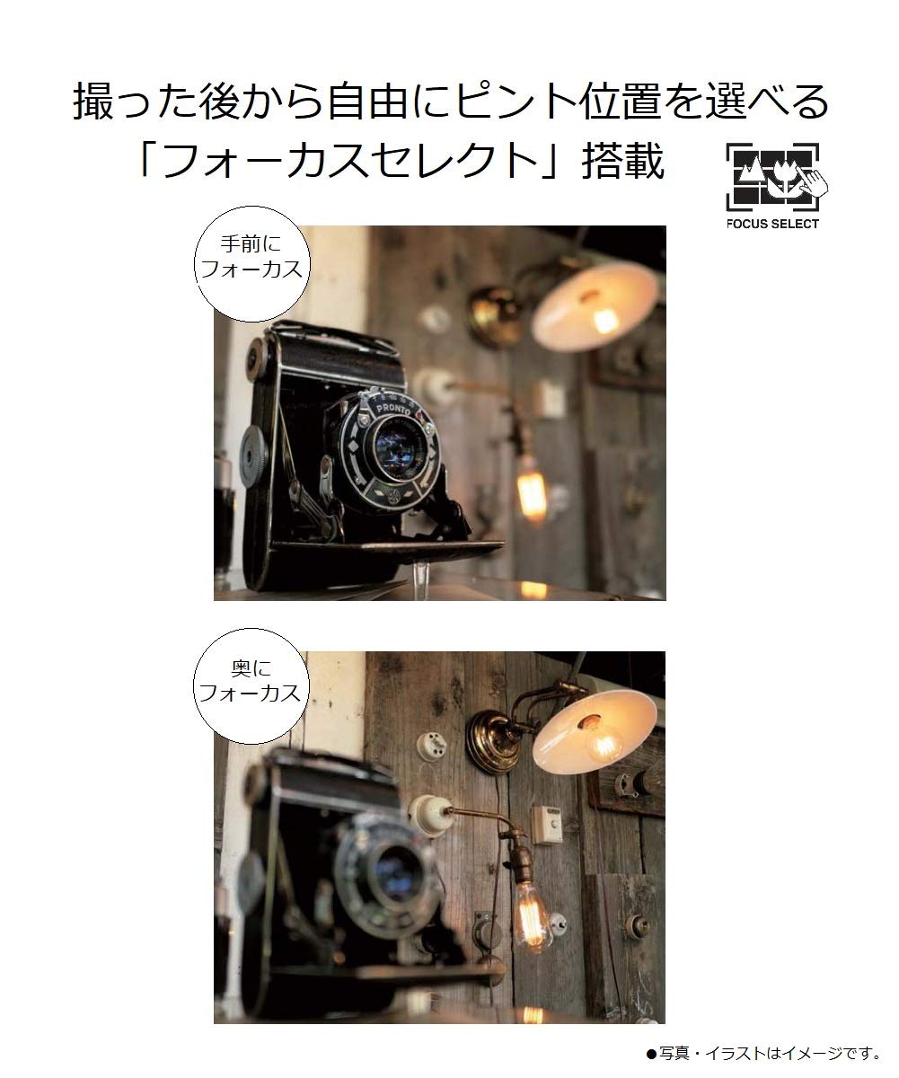 Panasonic digital camera Lumix TZ85 optical 30 times Silver DMC-TZ85-S - International Version (No Warranty)