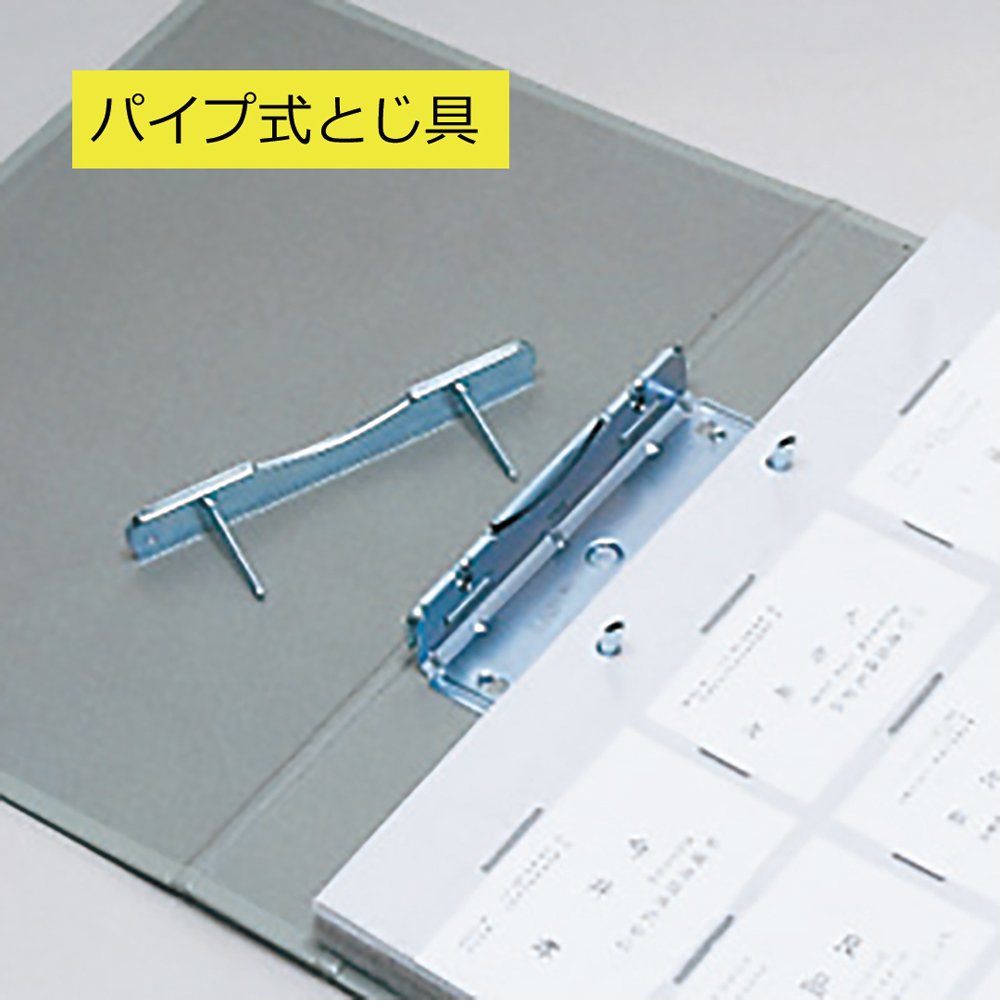KING JIM A4S 89 Business Card Holder, S Shaped