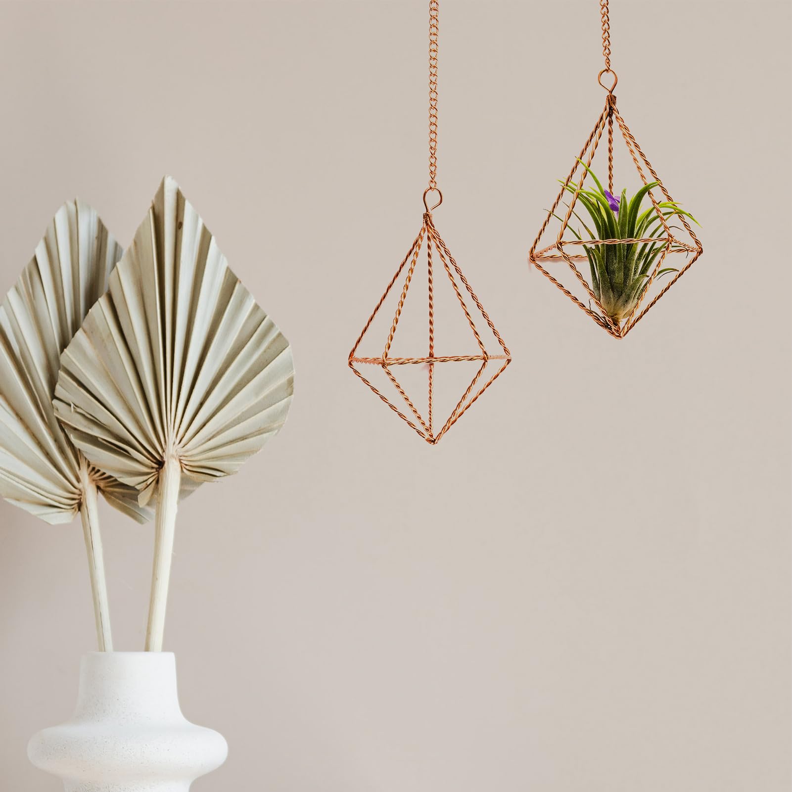 libproqia 5 Pcs Hanging Geometric Air Plants Holders Twisted Metal Airplant Hangers Small Diamond Shape Tillandsia Planter Display with Chains Himmeli Decor for Home and Office,Rose Gold