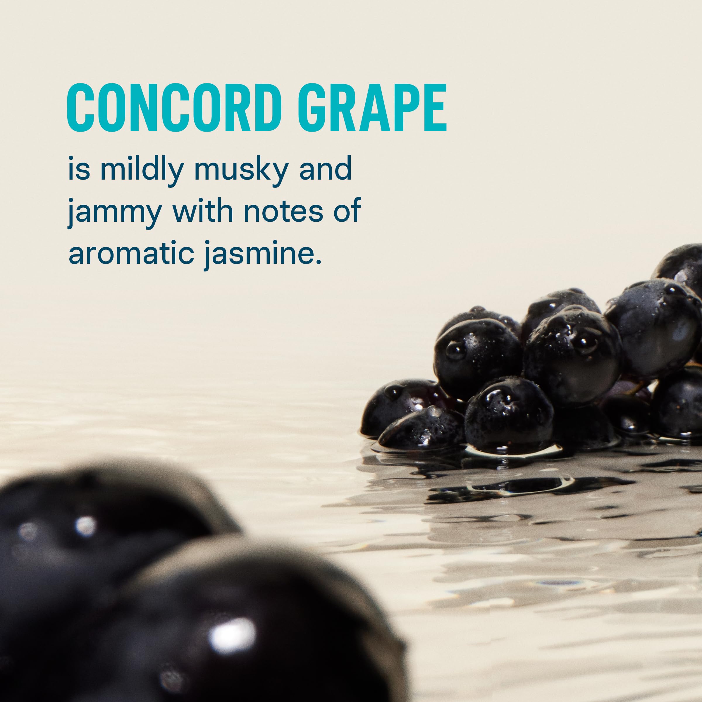Liquid I.V.® Hydration Multiplier® - Concord Grape - Hydration Powder Packets | Electrolyte Powder Drink Mix | Convenient Single-Serving Sticks | Non-GMO | 1 Pack (16 Servings)