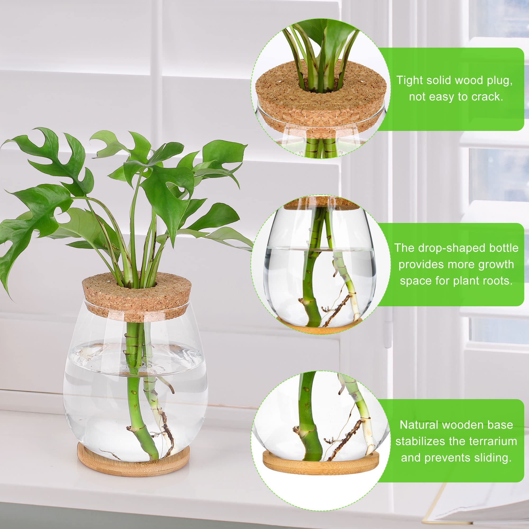 onepeng Propagation Stations, 2 Pcs Glass Planters with Wooden Tray & Lid, 5.2x4.2 inches, for Hydroponic Plants, Home Decor, Gardening Gifts for Women