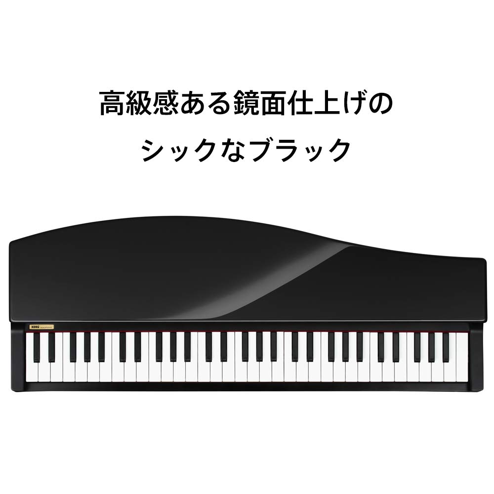 Korg microPiano 61 - Key Minature Grand Piano, Black