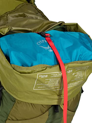 Osprey Atmos AG LT 50L Men's Backpacking Backpack, Scenic Valley/Green Peppercorn, L/XL