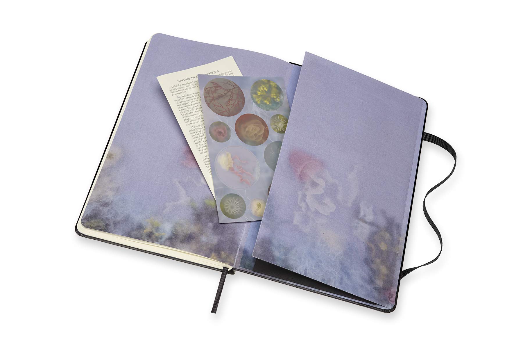Moleskine Limited Edition Studio Collection Notebook, Hard Cover, Large (5" x 8.25"), Ruled/Lined, Sonia Alins, 240 Pages