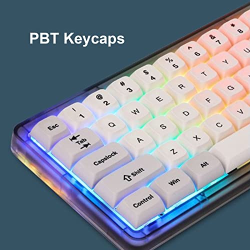 YEmirth Mechanical Keyboard 67 Keys RGB Backlit Hot Swap Ergonomic Design Compact Layout PBT Keycaps Gaming Keyboard