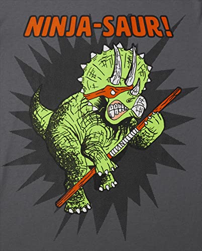 The Childrens Place Boys' Dino Long Sleeve Graphic T-Shirts, Ninjasaur, Small (5/6)