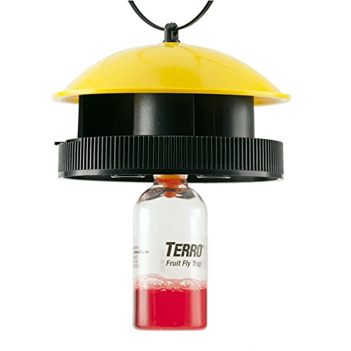 TERRO T515 Wasp & Fly Trap Plus Fruit Fly β Refill, 1 Pack