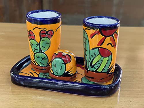 MEXTEQUIL - Authentic Mexican Talavera Tequila Shot Glasse with Tray and Salt Shaker - 2 Shots, 4pieces - Giffable - Artisanal colorful hand-painted (Cactus)