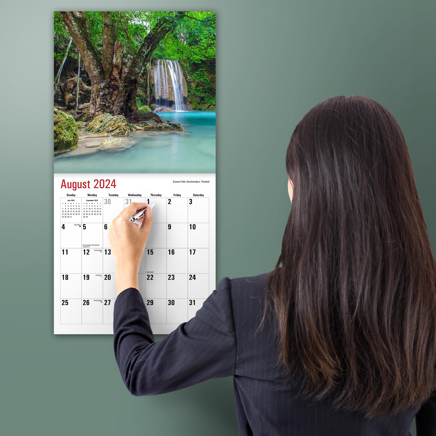 MICASA Wild & Beautiful Trees Hangable Monthly 2024 Wall Calendar | 12" x 24" Open | Thick & Sturdy Paper | Giftable | Scenic Nature Pathways | Beautiful Trees around the World