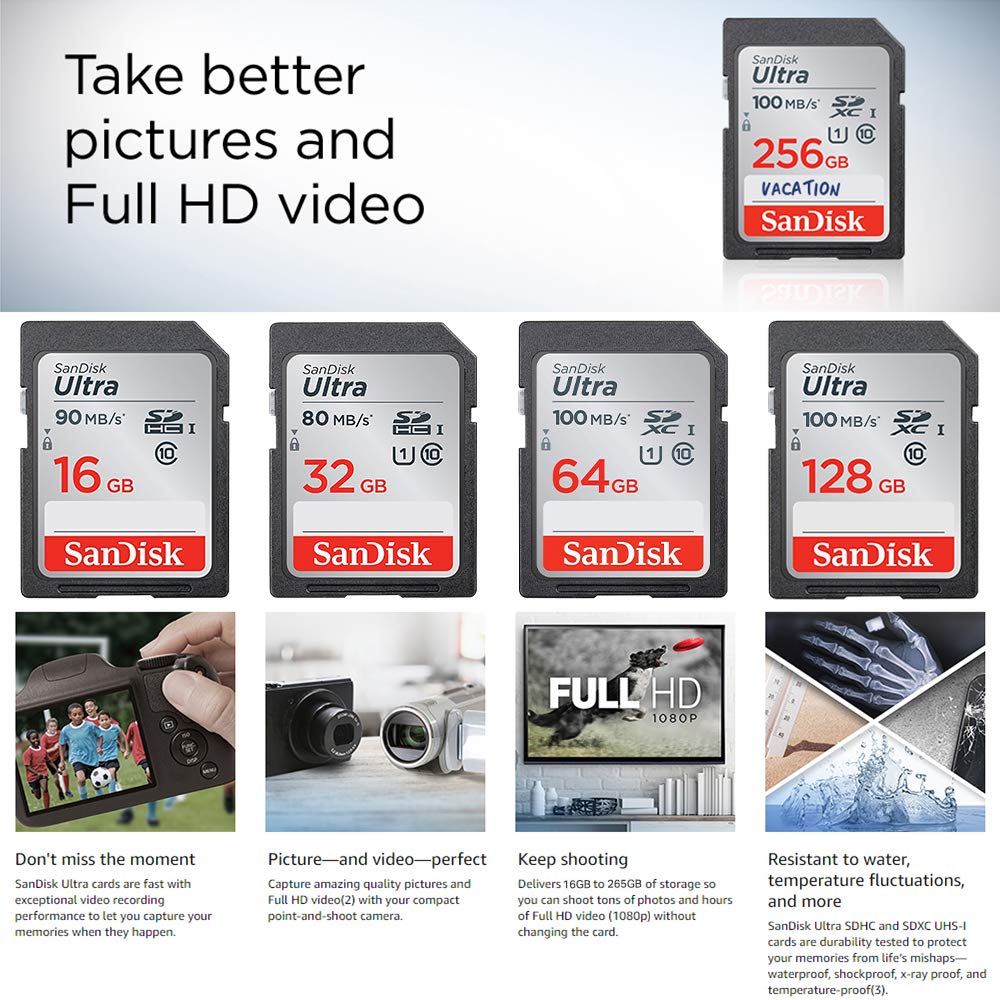 Nikon B500 Digital Camera (Black) with All-in-One Starter Bundle - Includes: SanDisk Ultra 64GB Memory Card, 4X Rechargeable Seller Replacement Batteries, Medium Size Carrying Case, and Much More