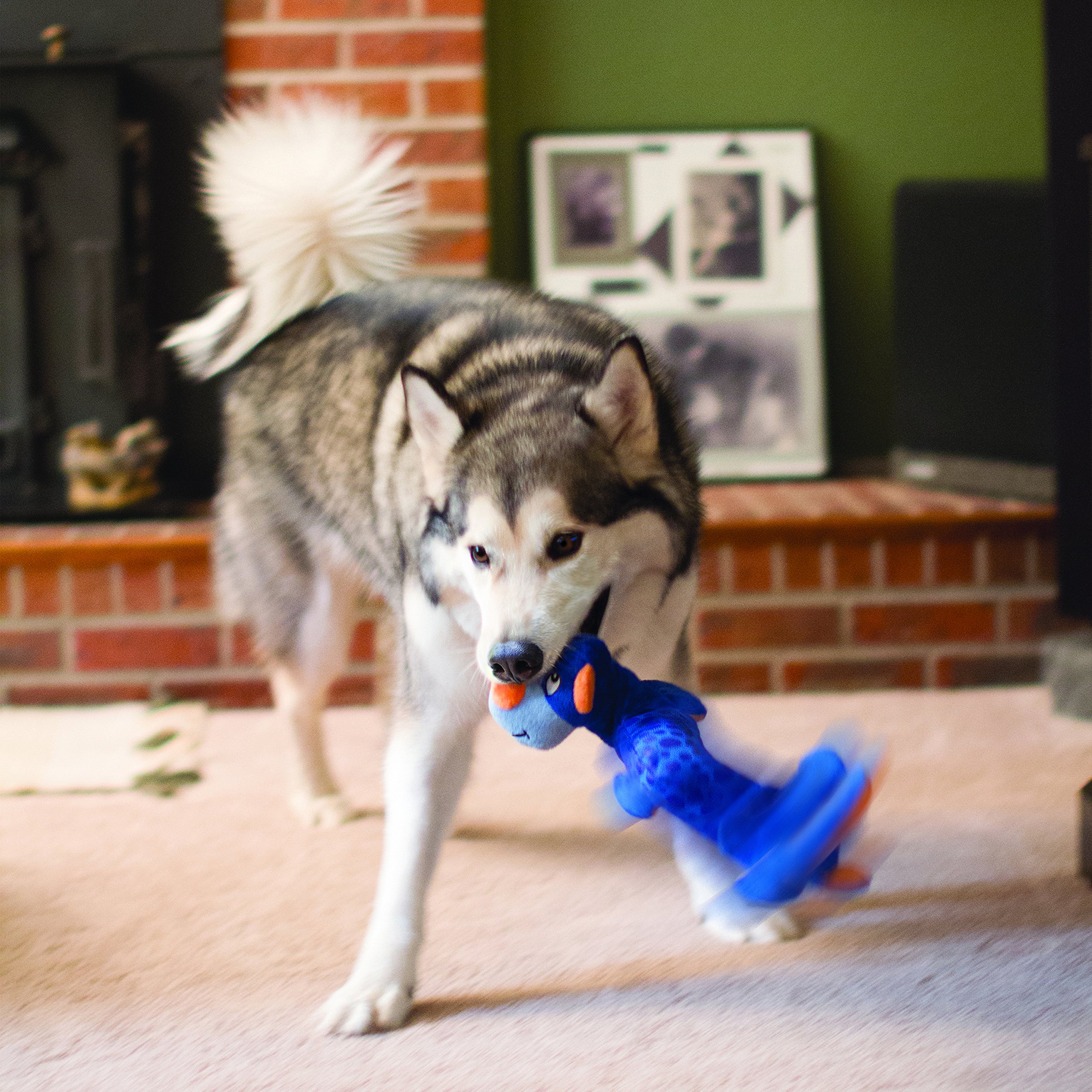 KONG Shakers Dragon Toy, Medium/Large, for Large Breeds