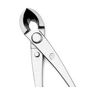 tianbonsai 165 Mm Branch Cutter Straight Edge Bonsai Branches Cutter Bonsai Tools