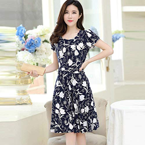 Pinkpaopao Women's A-Line Swing Dress High Waisted Pattern Printed Puff Short Sleeve Pleated Round Neck Dress