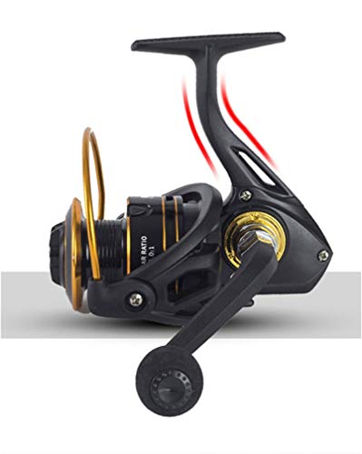 LLJPYX7L The Best Fishing Reel, Salt Water and Fresh Water can be Used, 10BB Durable Bearing 4.7:1 Gear Ratio, Left/Right Interchangeable Handle, Suitable for Beginners (Size : 6000)