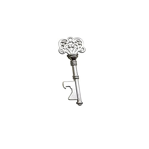 Toporchid Key Portable Bottle Opener Beer Bottle Can Opener Hangings Ring Keychain Tool(silver)