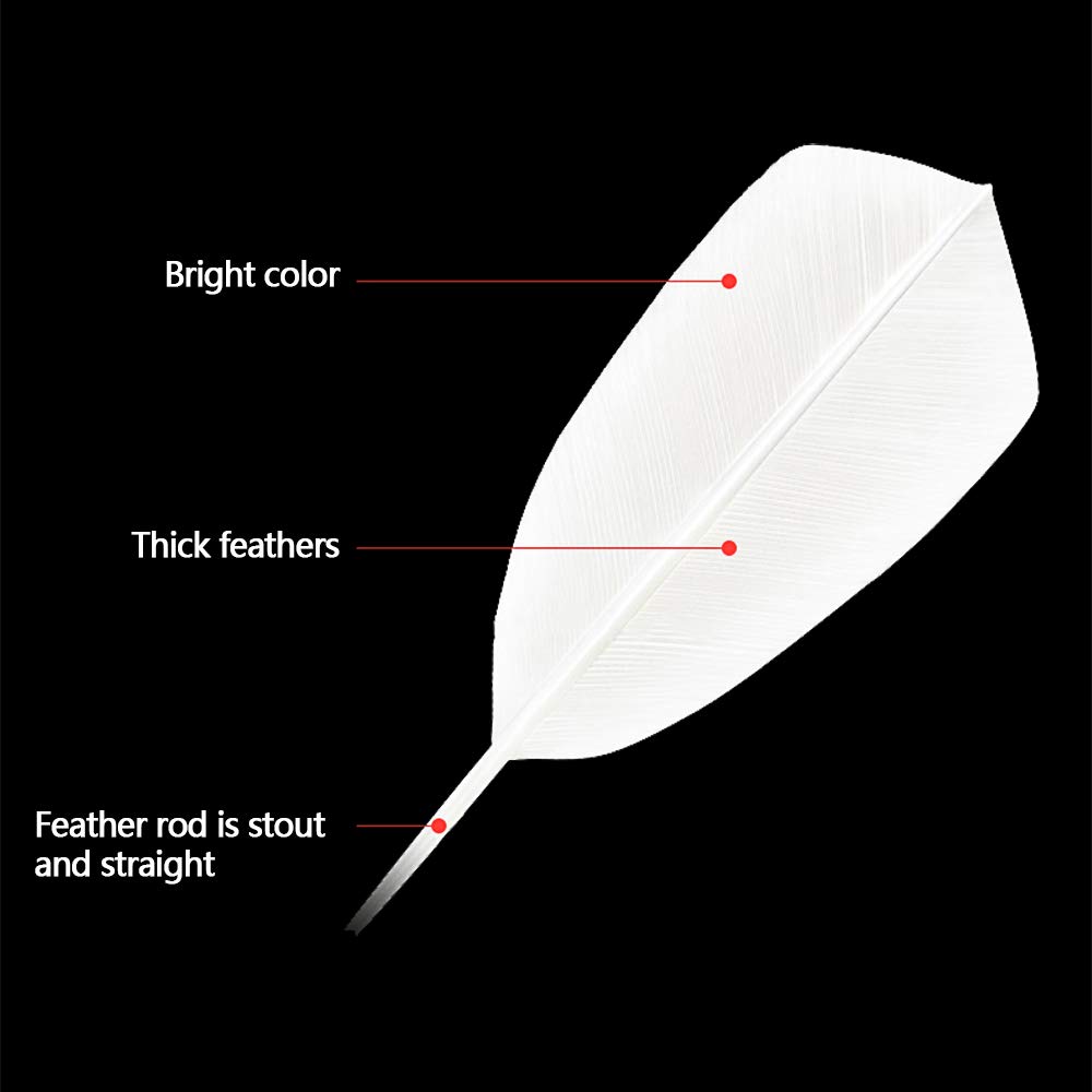 KEVENZ Goose Feather Badminton Shuttlecocks with Great Stability and Durability, High Speed LED Badminton Birdies, Pack 0f 6…