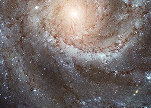 Miller Engineering Pinwheel Galaxy Disc for Homestar Flux Home Planetarium, (HS-35)